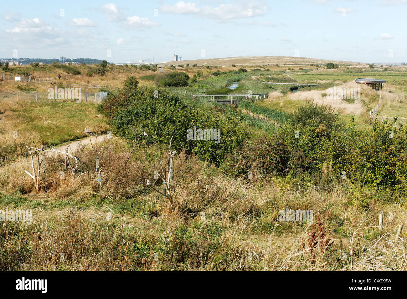 Rainham Marshes RSPB Reserve, Essex, September 2012 Stock Photo - Alamy