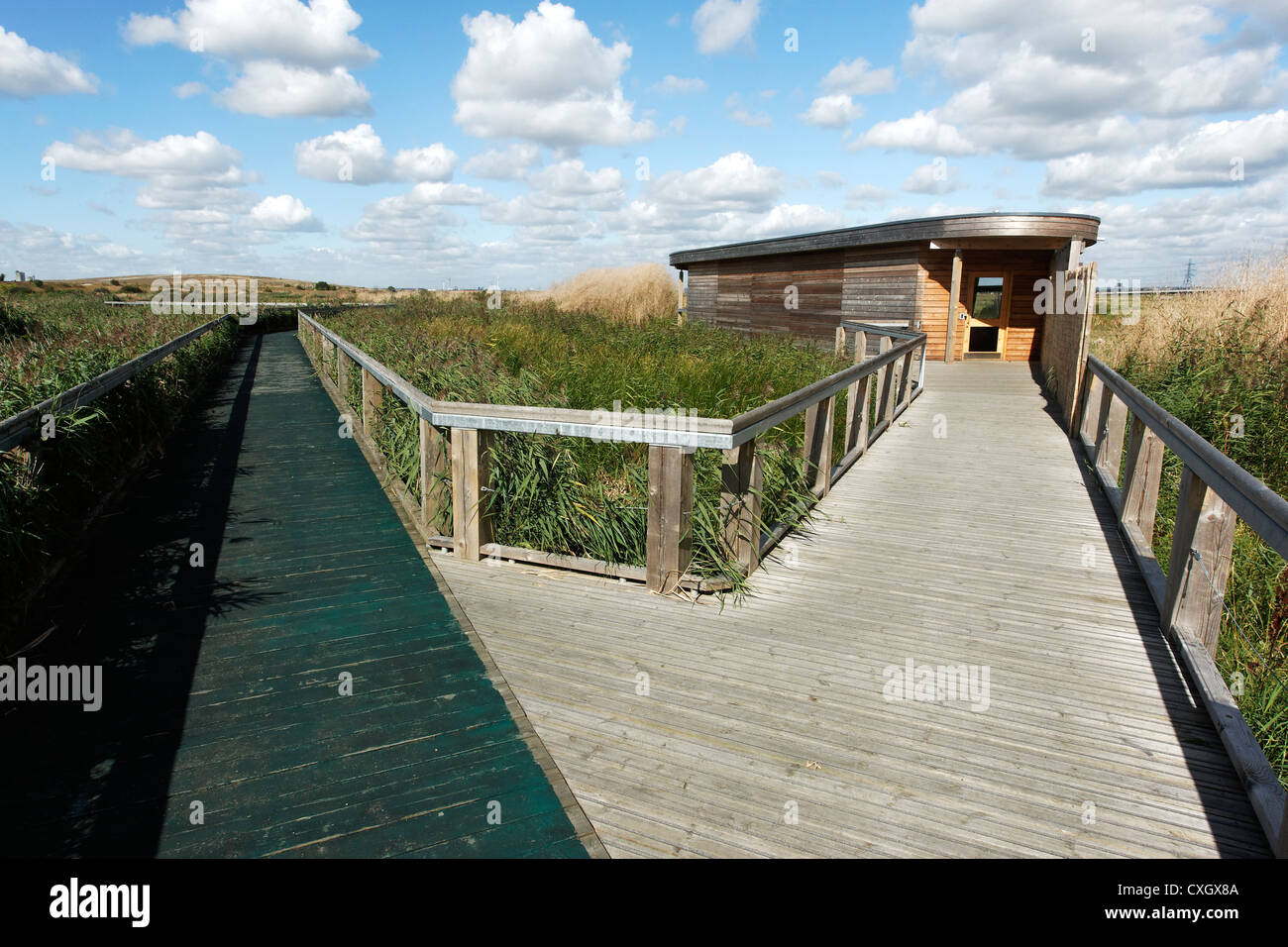 Rainham Marshes RSPB Reserve, Essex, September 2012 Stock Photo - Alamy