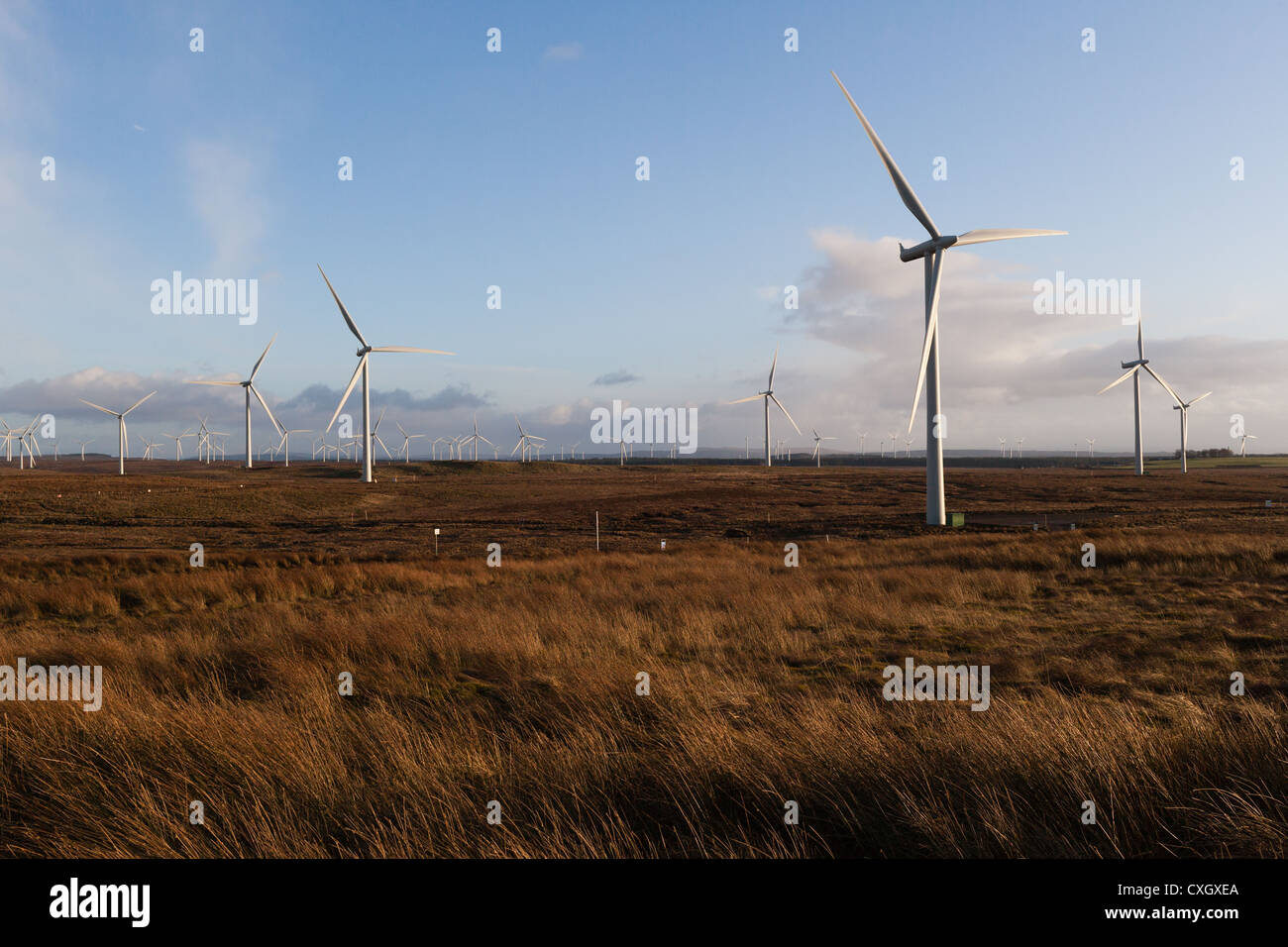 Horizontal-axis wind turbines on Whitelee windfarm at sunset Stock ...