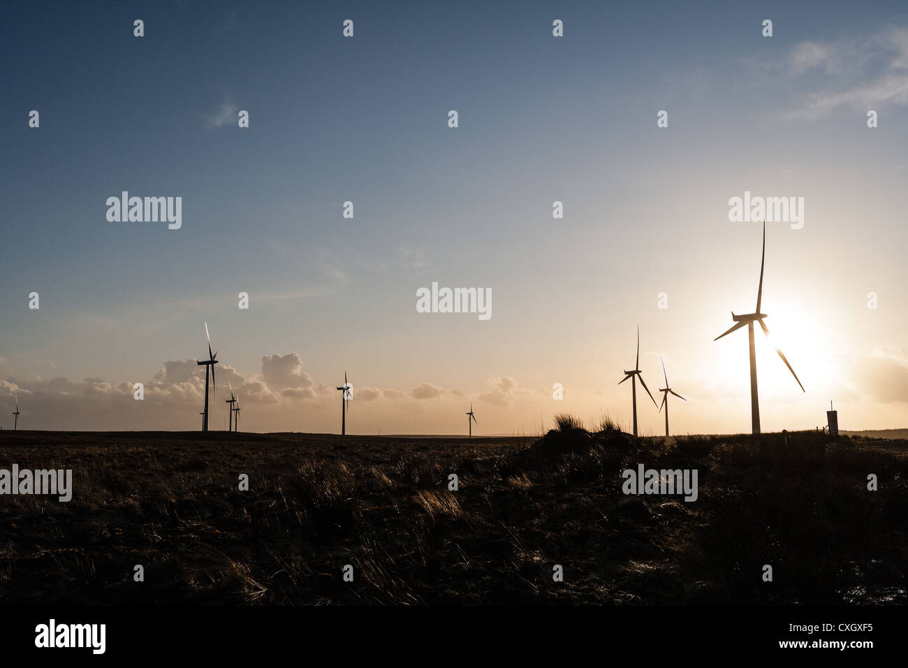 Horizontal-axis wind turbines on Whitelee windfarm at sunset Stock ...
