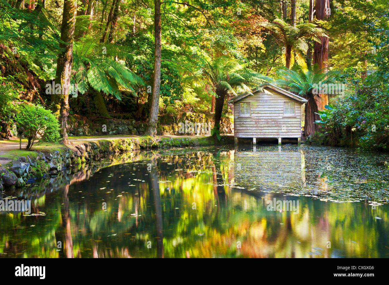 Dandenong ranges hi-res stock photography and images - Alamy