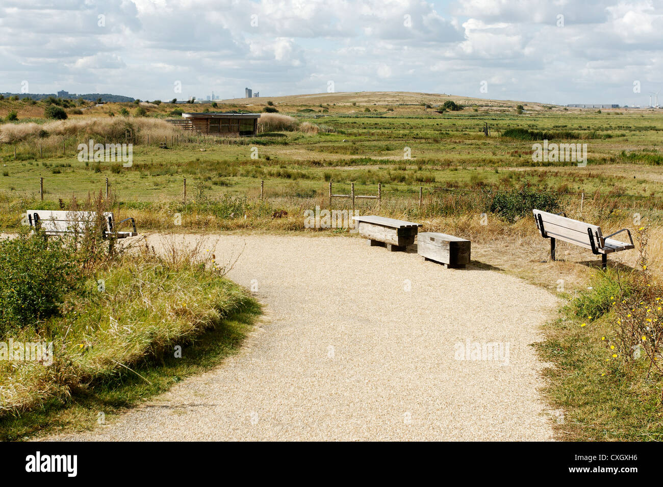 Rainham Marshes RSPB Reserve, Essex, September 2012 Stock Photo - Alamy