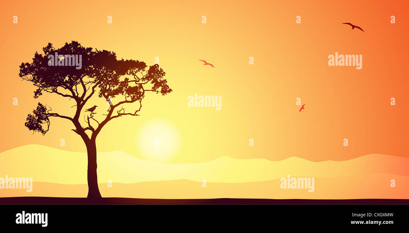 A Desert Landscape with Tree and Bird Stock Photo - Alamy