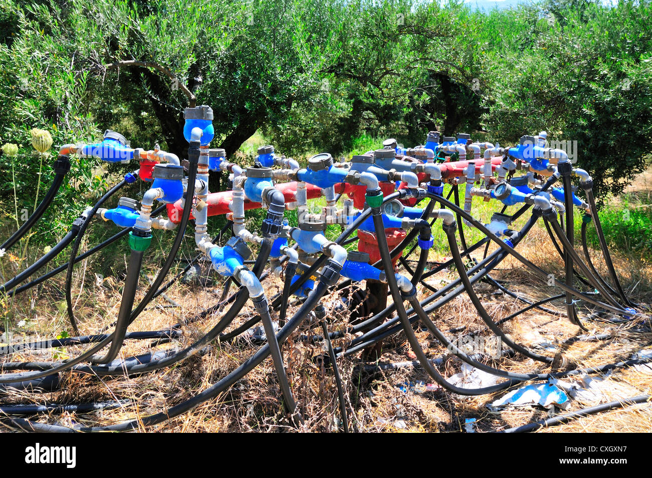 Water pump pipe network for agriculture irrigation of the olive groves ...