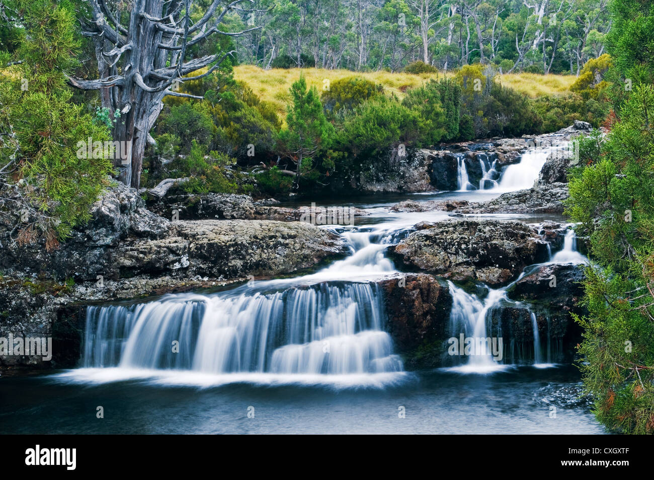 Australia pine creek hi-res stock photography and images - Alamy