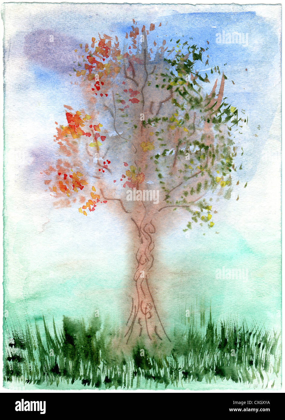 Tree drawing with color hi-res stock photography and images - Alamy