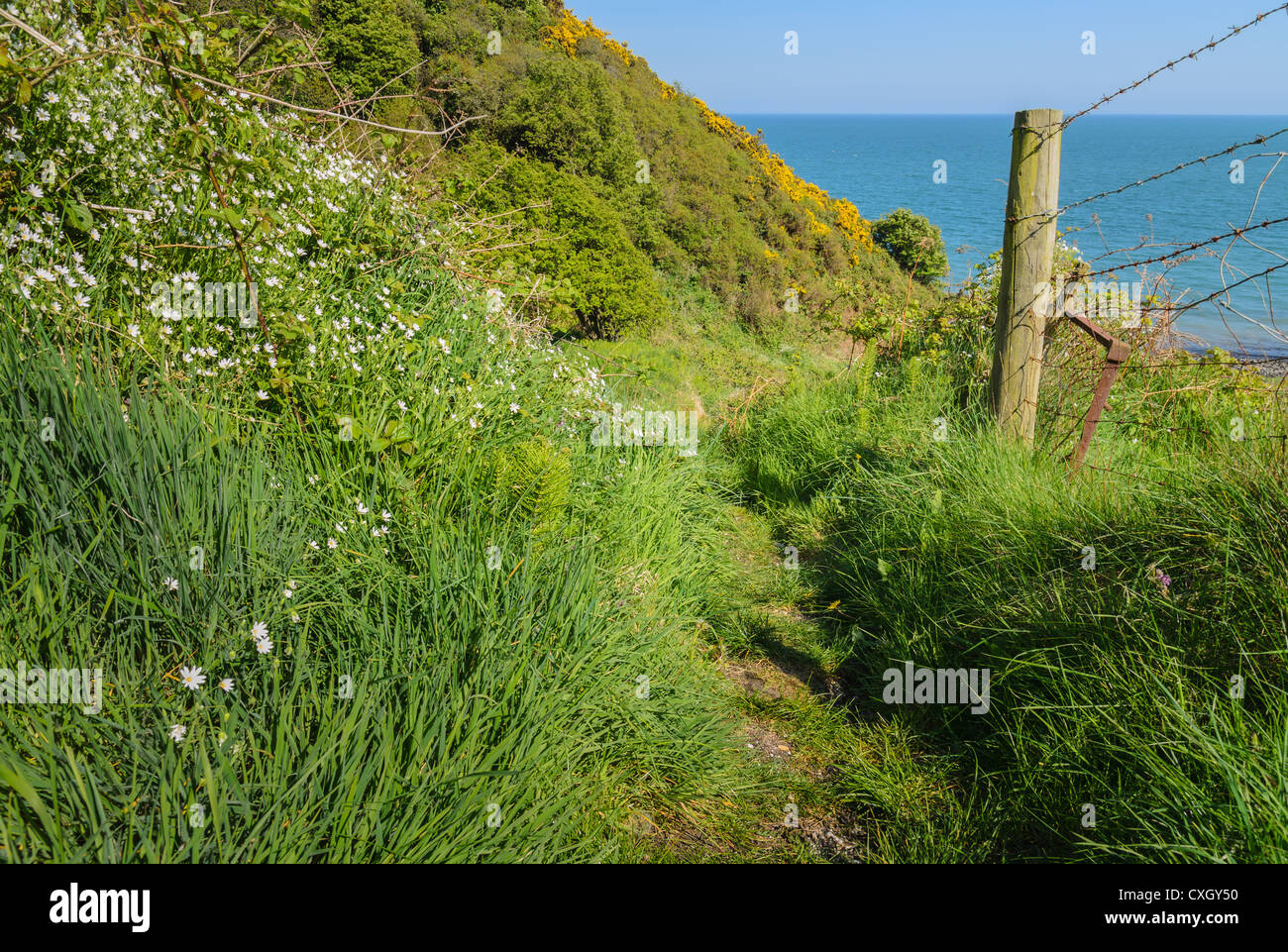 A rural hilltop path overlooking the sea Stock Photo - Alamy