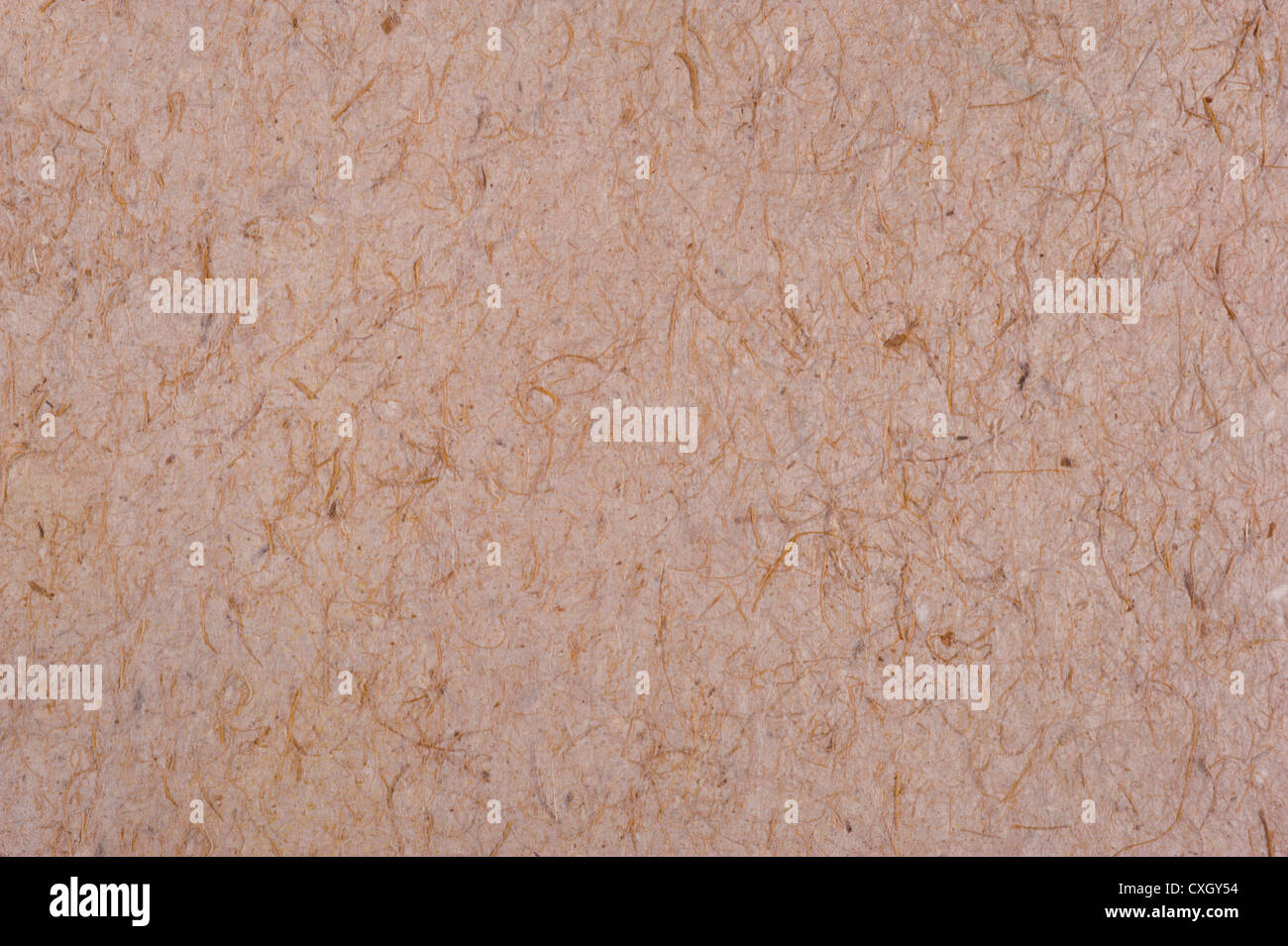 Rough parchment design hi-res stock photography and images - Alamy