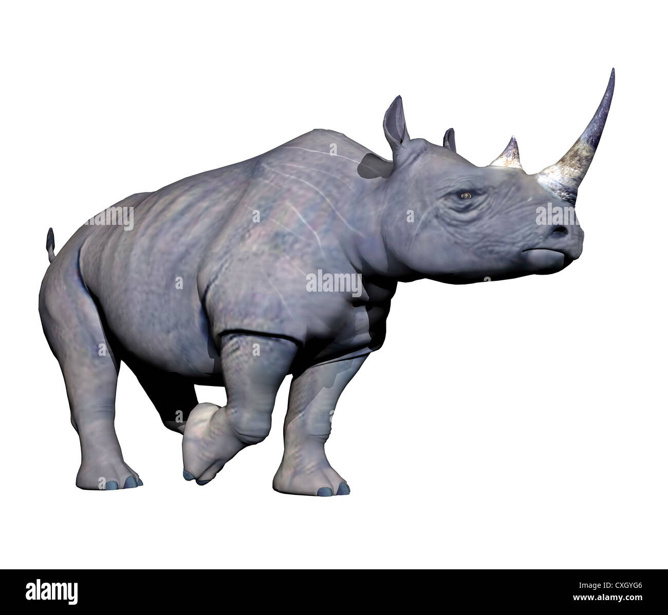 Grey rhinoceros running in white background Stock Photo - Alamy