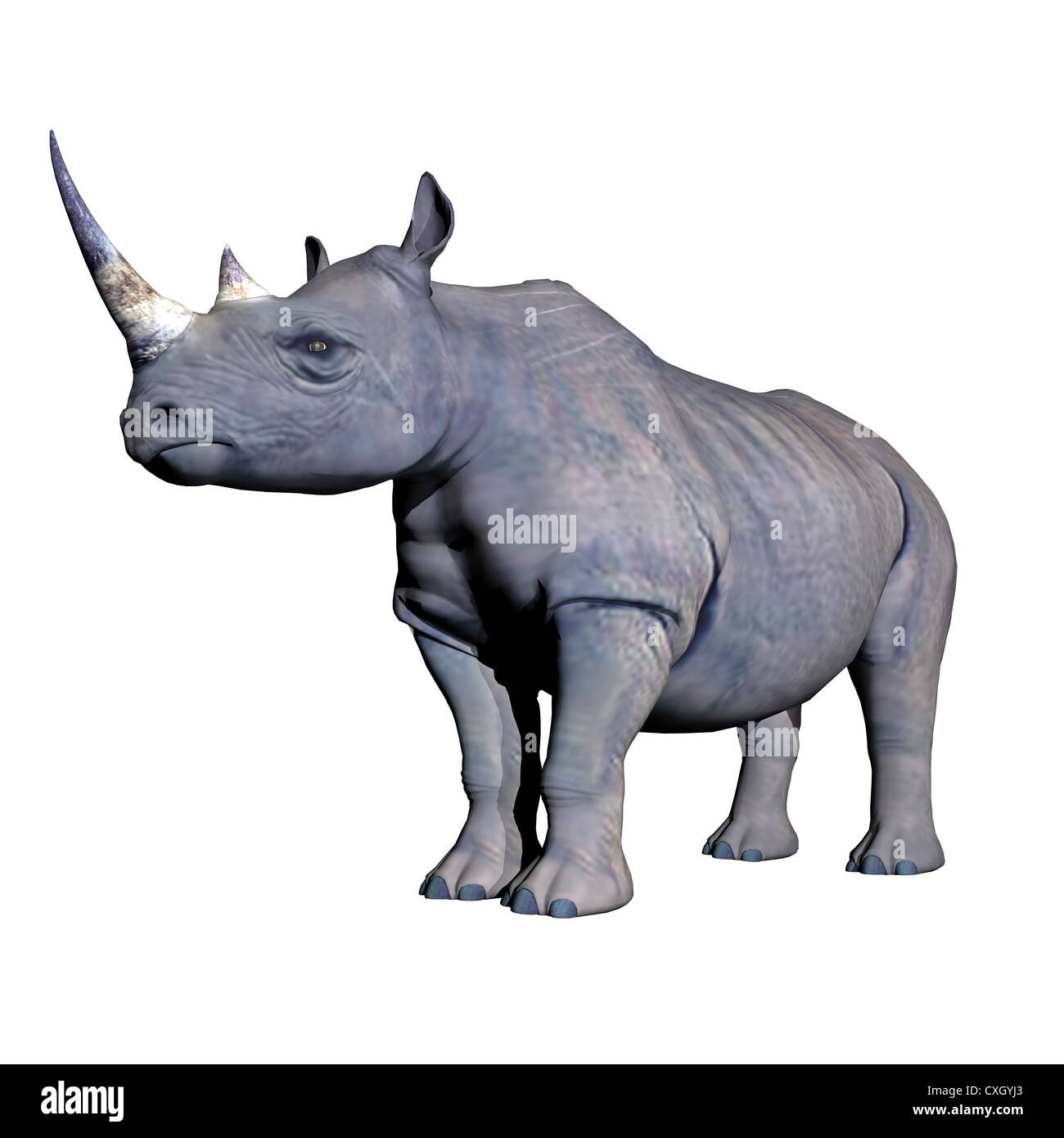 Grey rhinoceros standing in white background Stock Photo - Alamy