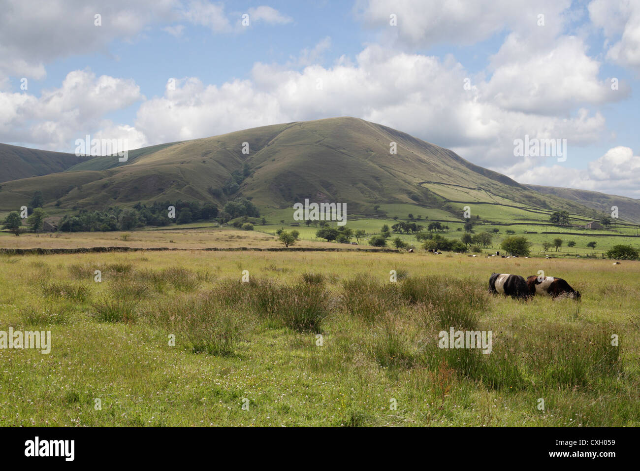 Broadlee bank tor hi-res stock photography and images - Alamy