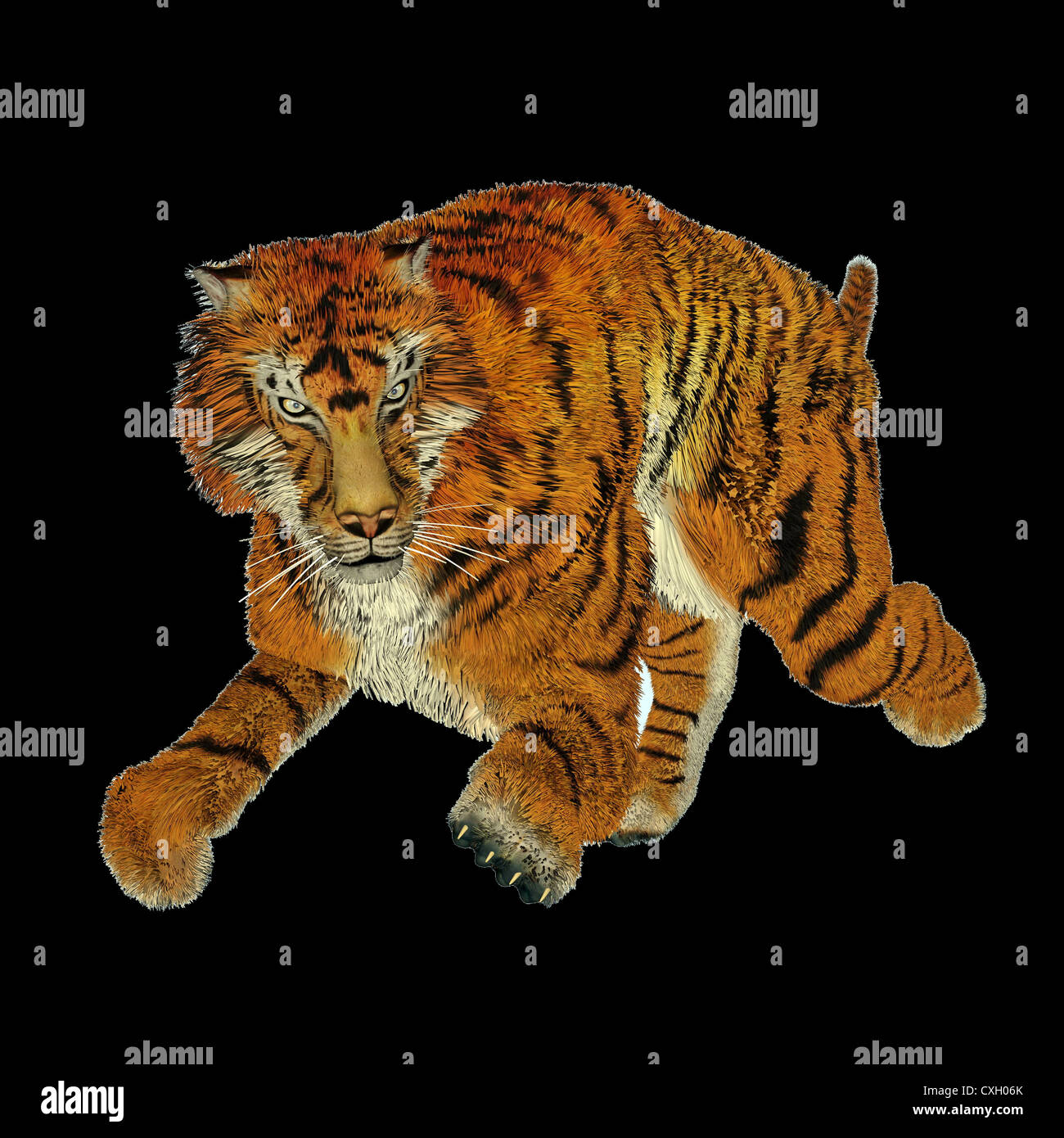 Big beautiful tiger running in black background Stock Photo - Alamy