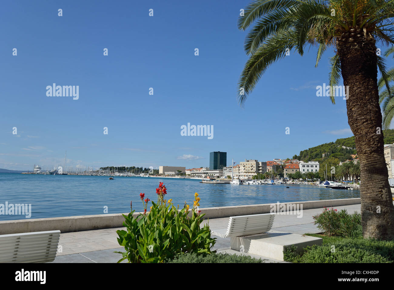 Seafront promenade on The Riva Waterfront, Split, Split-Dalmatia County ...