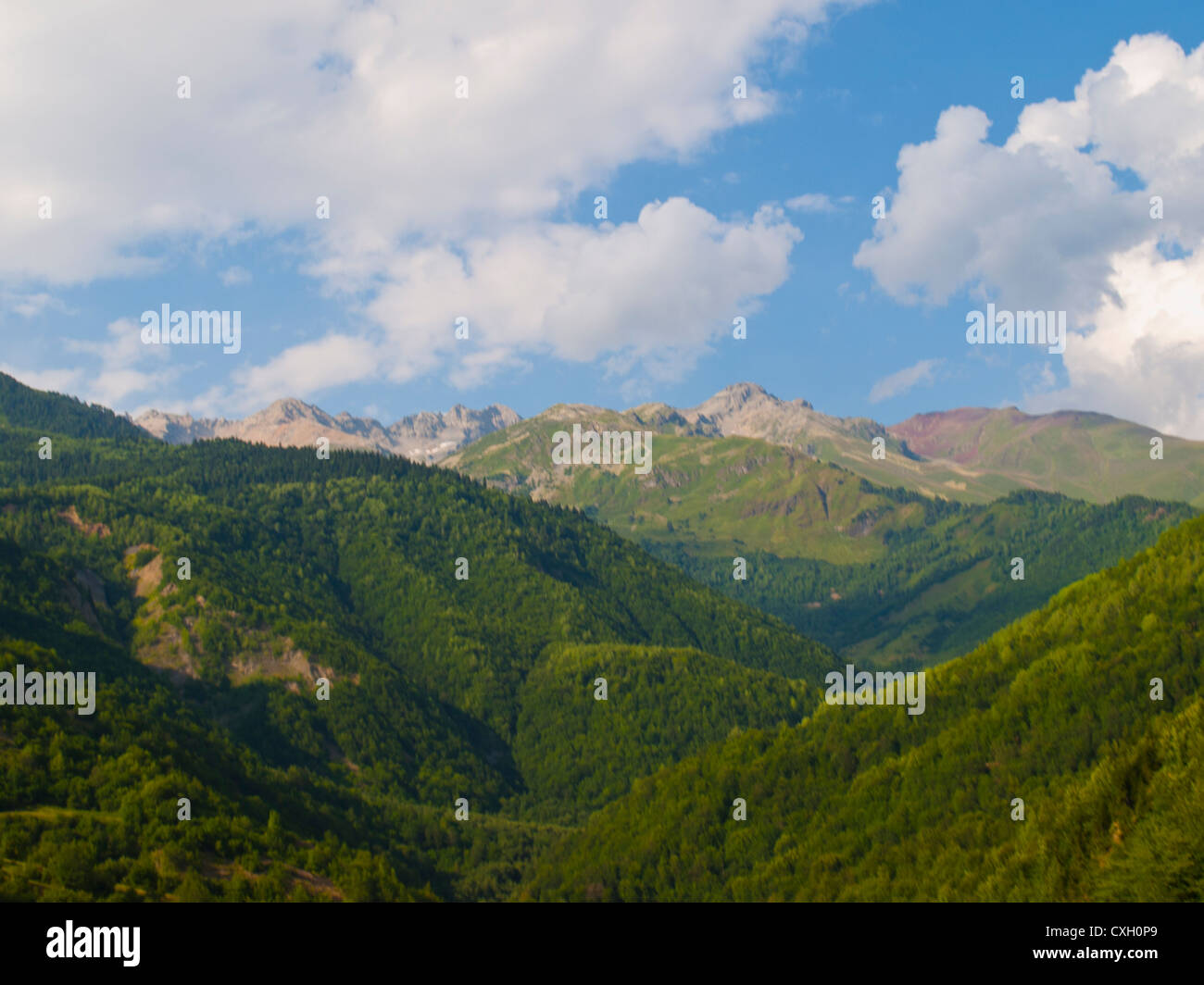 Svaneti mountains forest range contrast hi-res stock photography and ...