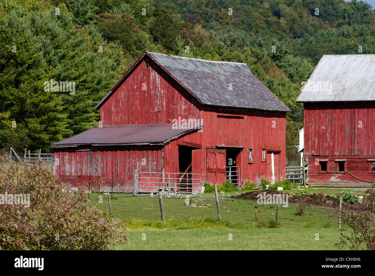 Farm buildings red barns and shed Stock Photo - Alamy