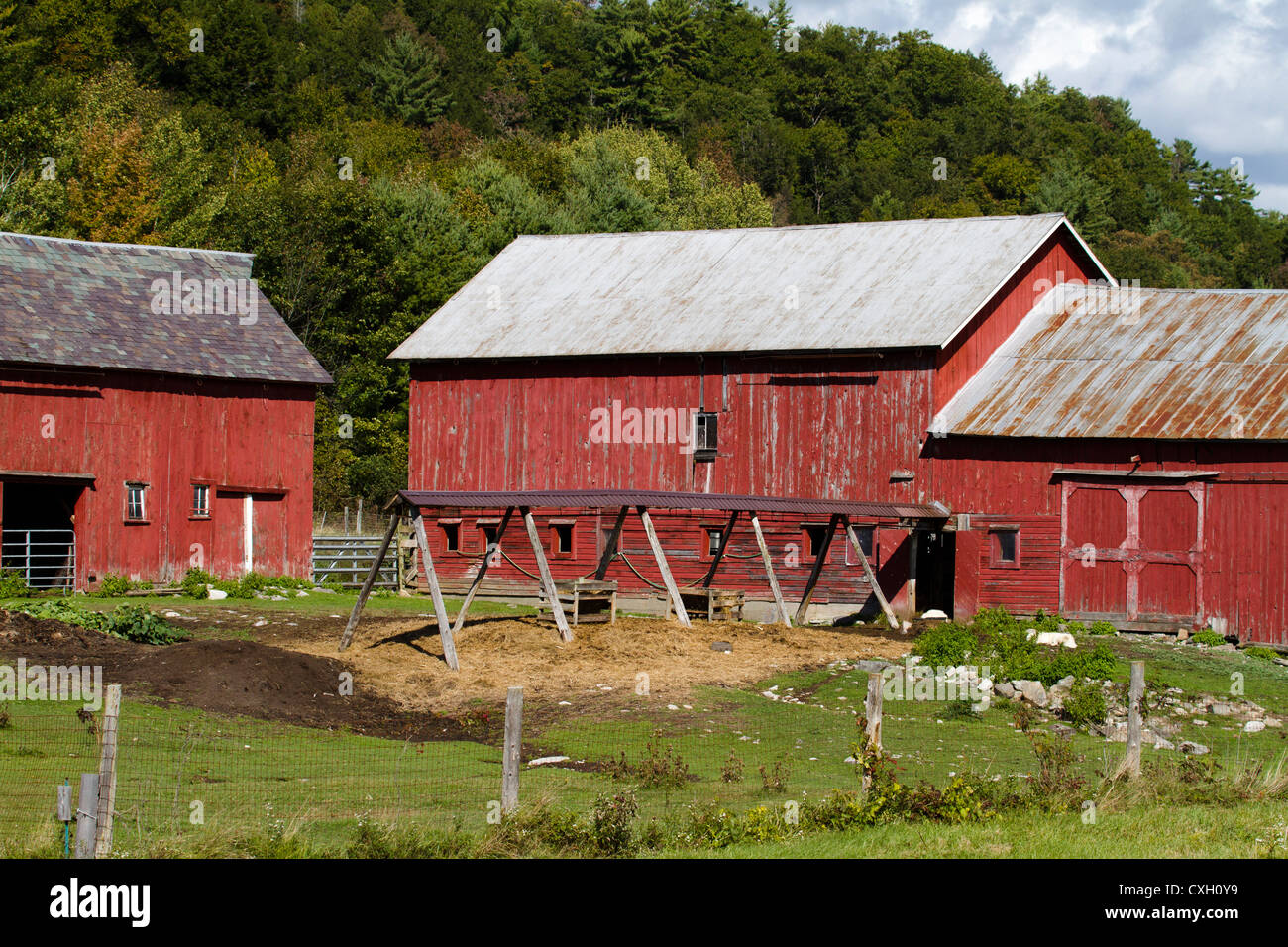 Farm buildings red barns and shed Stock Photo - Alamy