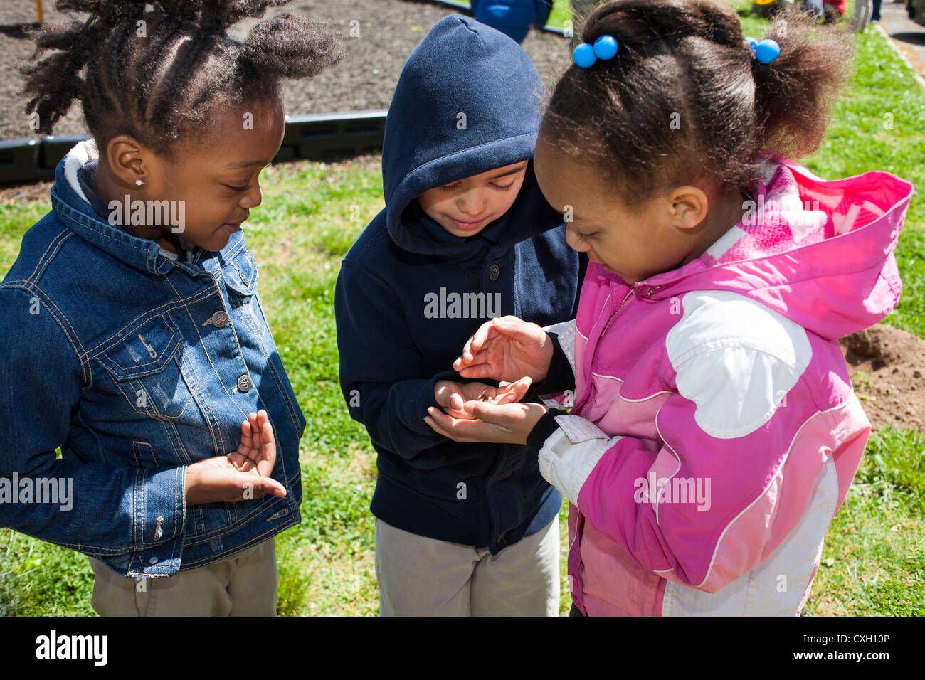 school children find a worm Stock Photo - Alamy