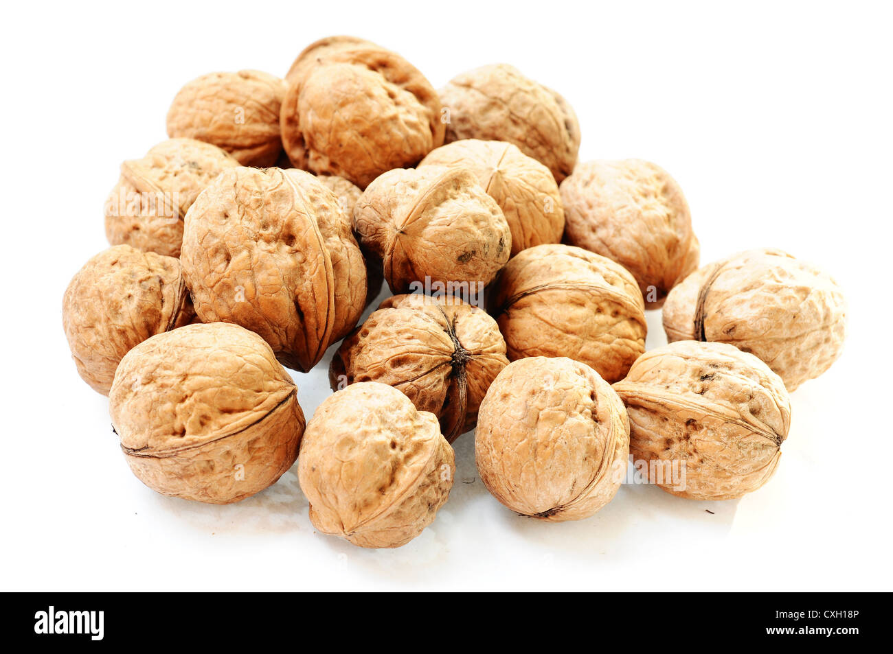 nut healthy food snack walnut isolated brown group natural shell white ...