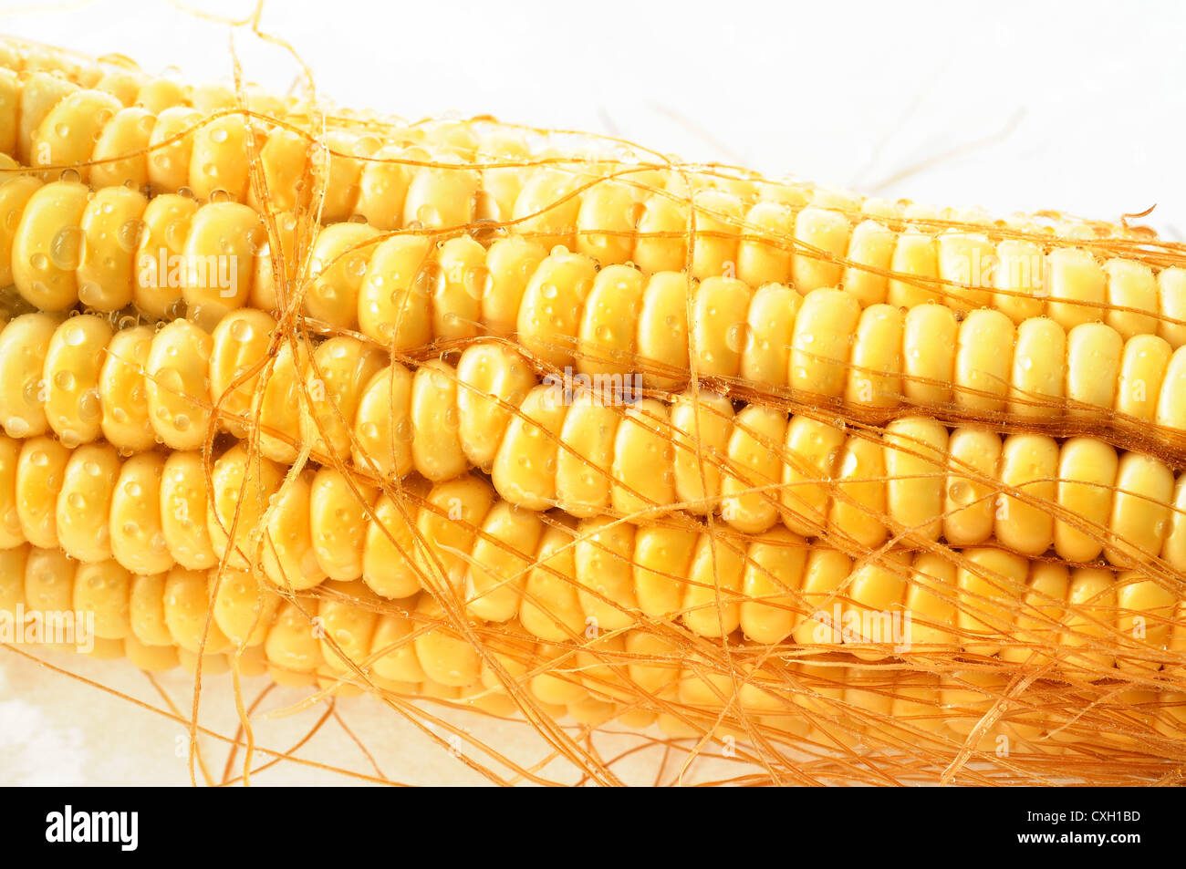 food corn maize grain yellow ingredient sweet farm harvest vegetable ...