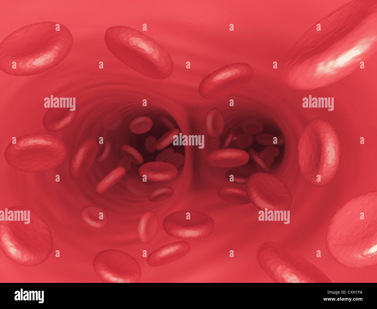 Concept of blood cells on microscope magnified Stock Photo - Alamy
