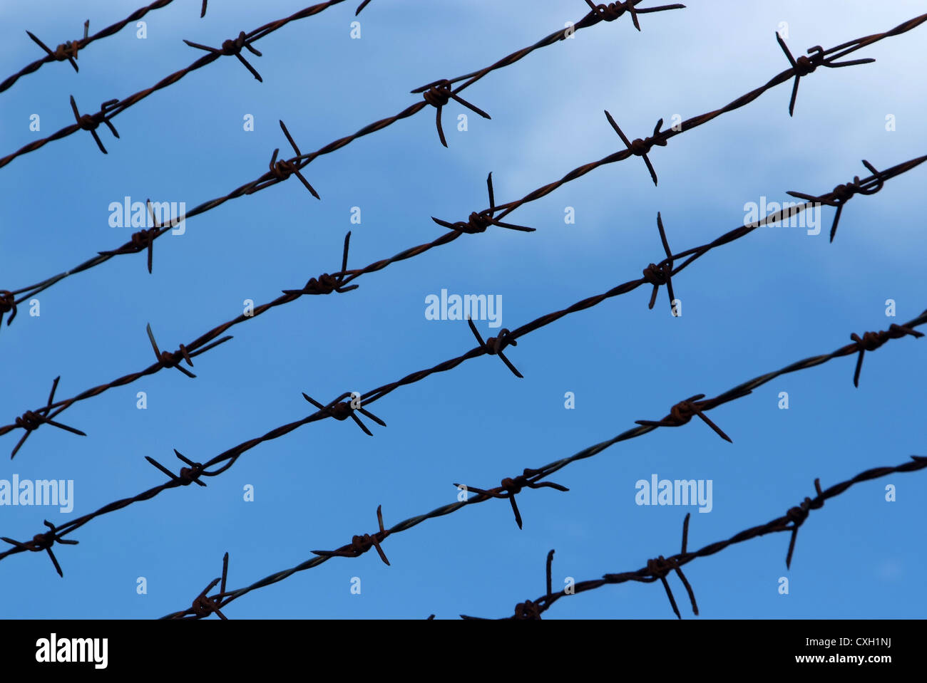 Barb wire fence and blue sky blackground Stock Photo - Alamy