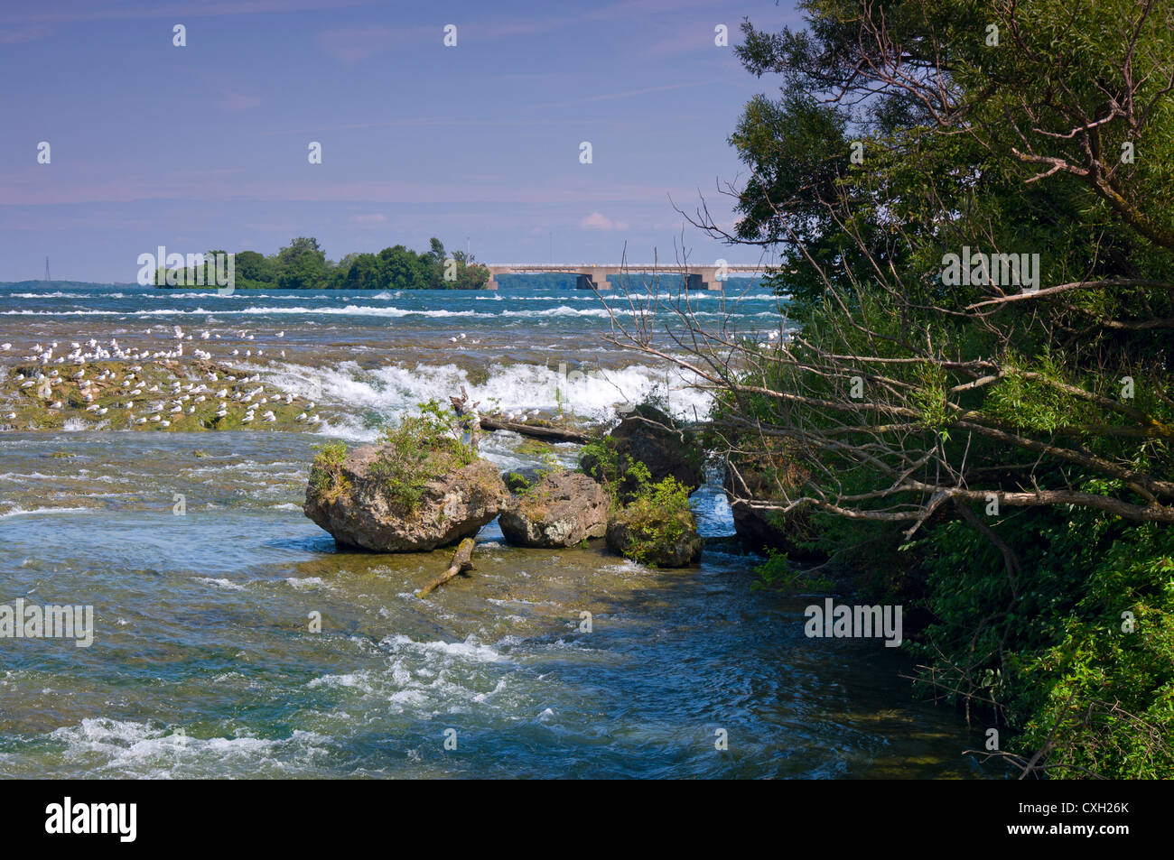 Three Sisters Island shoreline on Niagara River with International ...