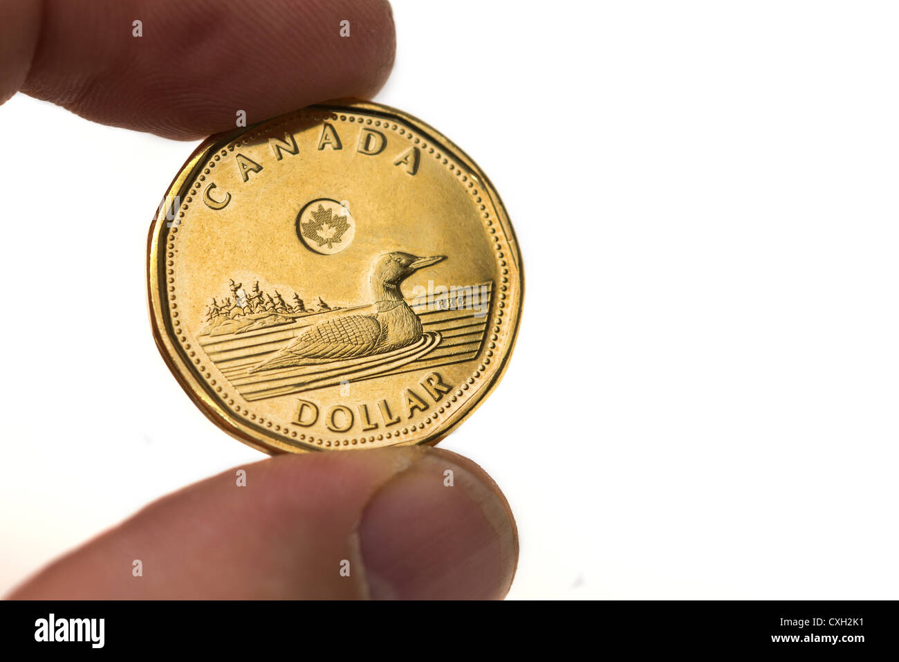 Moneda De 1 Dolar Canadiense