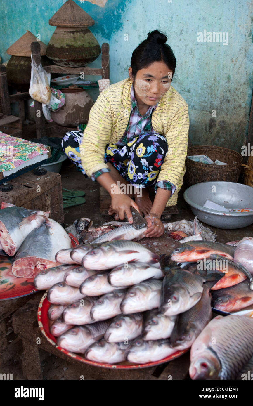Fish market in yangon hi-res stock photography and images - Alamy