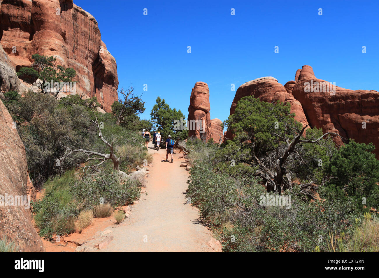Hiking in summer heat in Devils garden trail in Arches national park ...