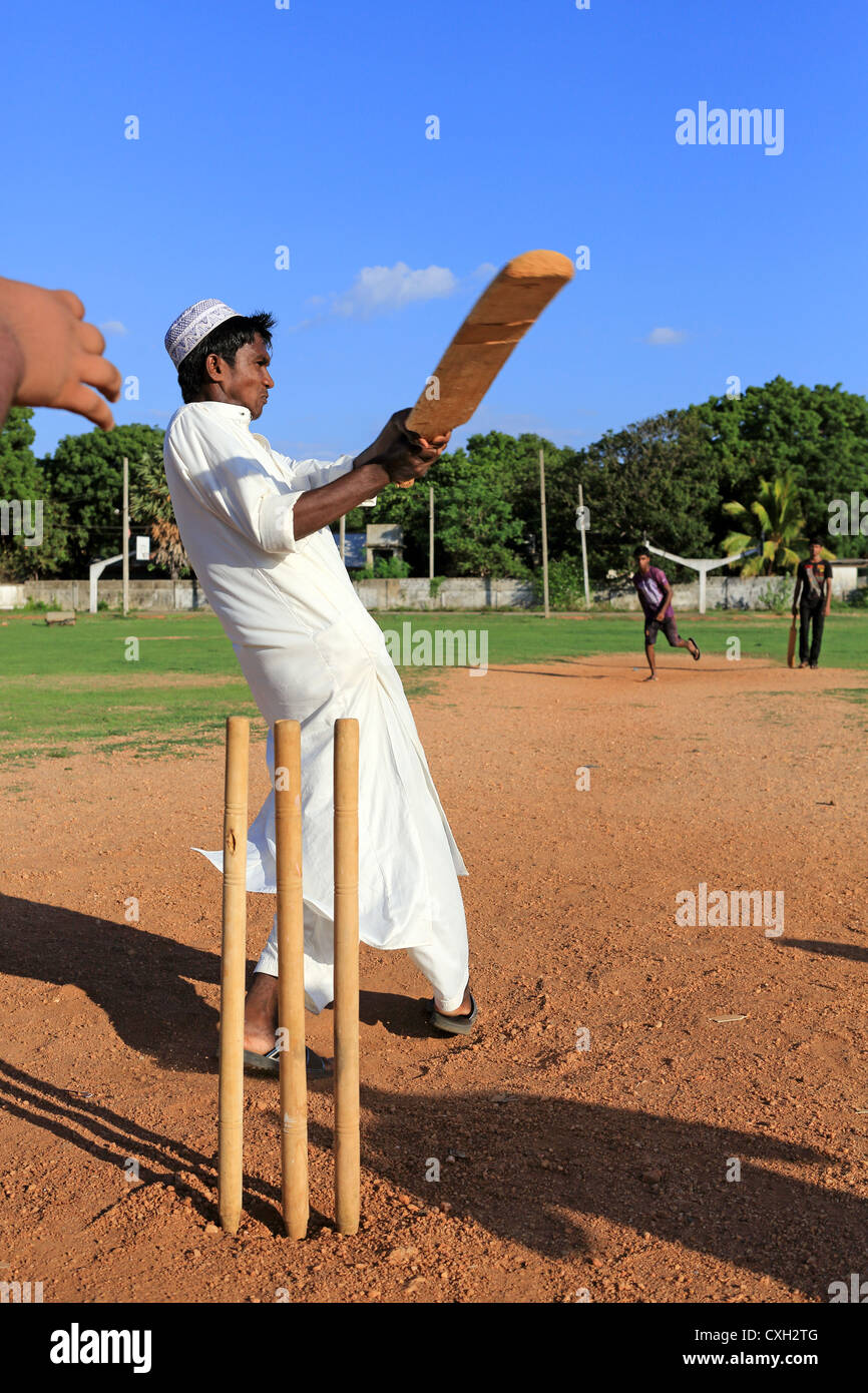 Social cricket hi-res stock photography and images - Alamy