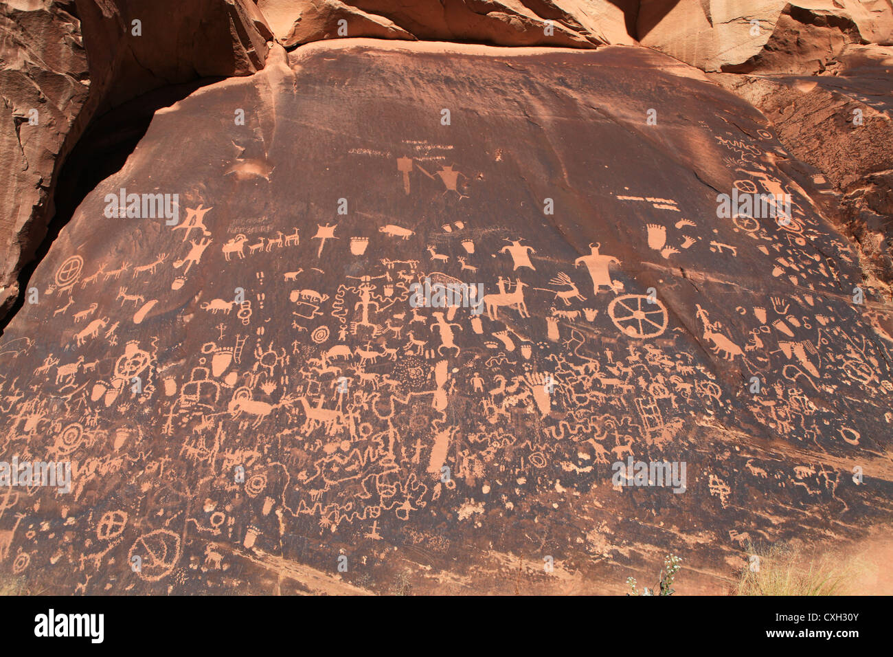 Ancient Indian petroglyph on rock in Moab, Utah, USA Stock Photo - Alamy