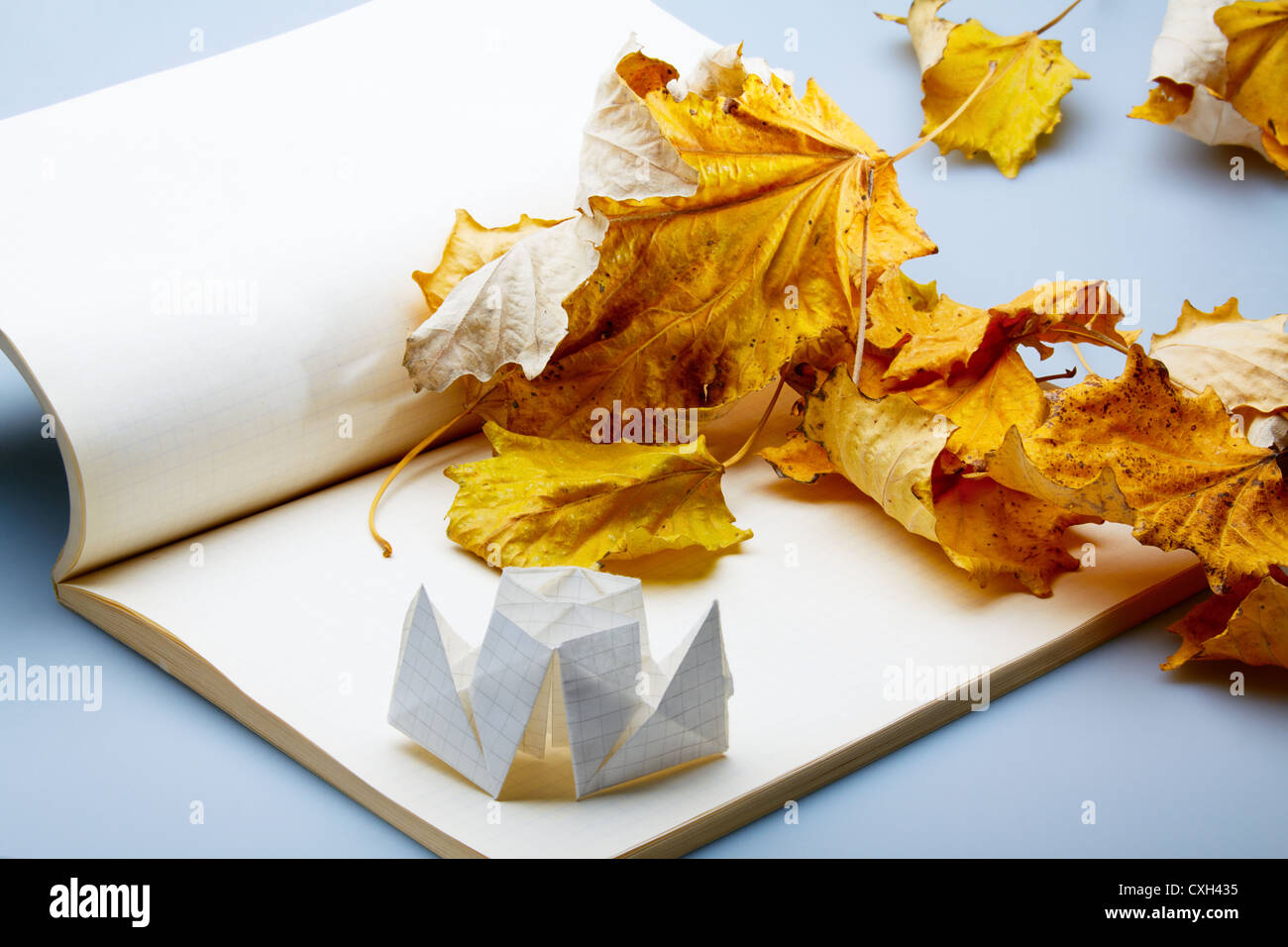 origami and autumn leaves Stock Photo - Alamy
