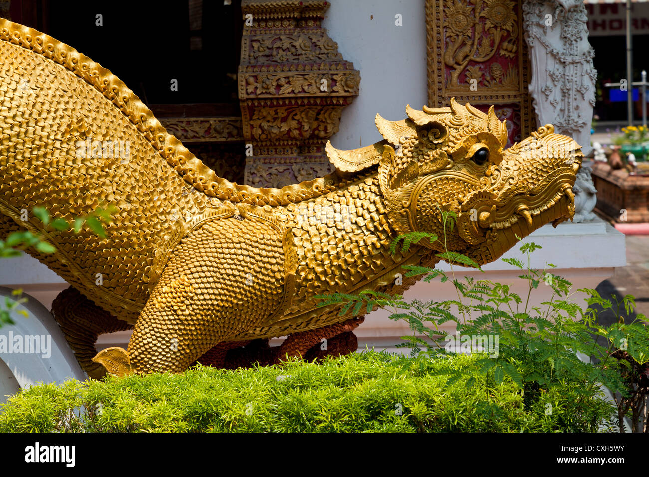 Gilded Dragon in the Temple Wat Buppharam in Chiang Mai Stock Photo - Alamy