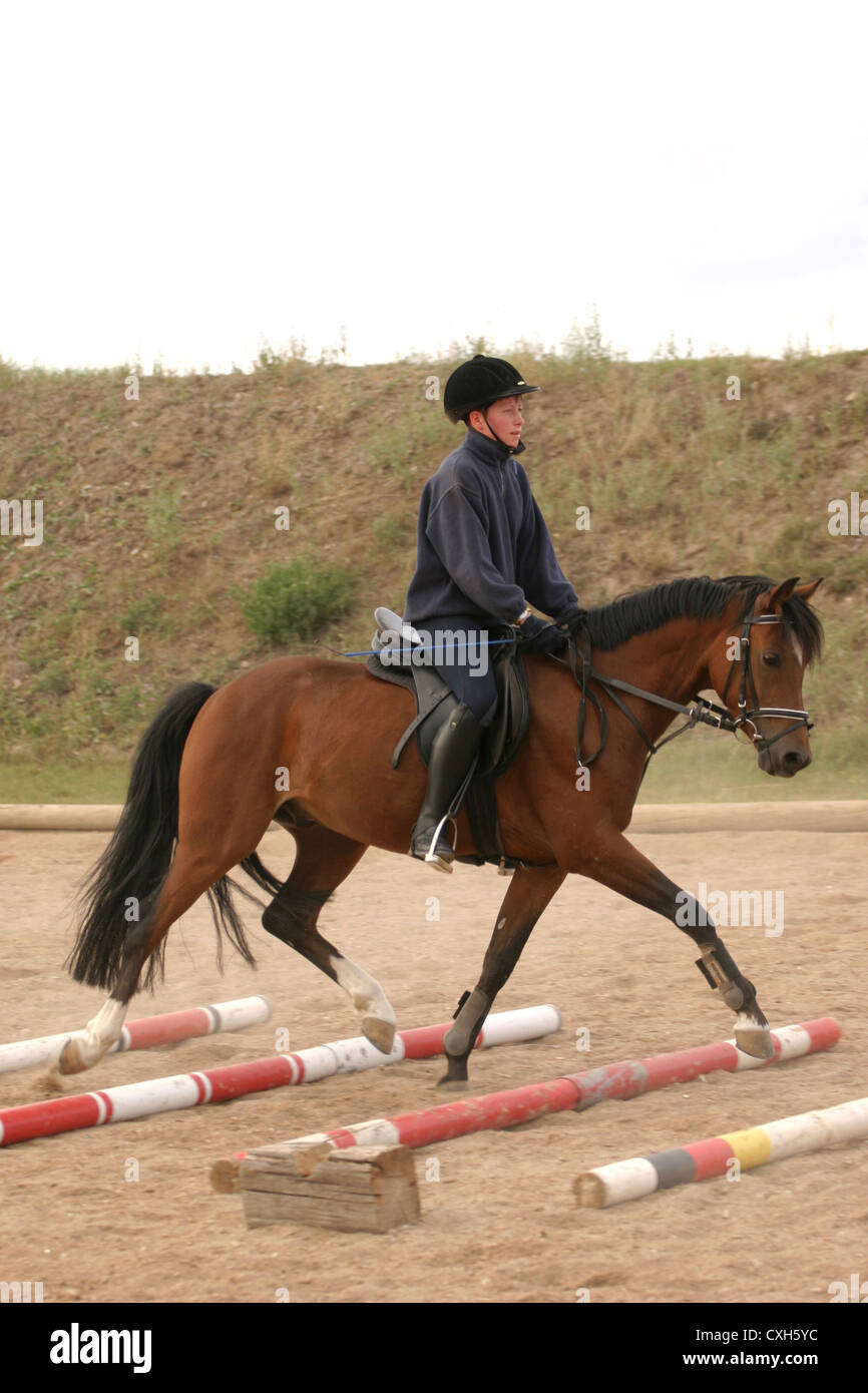 woman rides German Riding Pony Stock Photo - Alamy