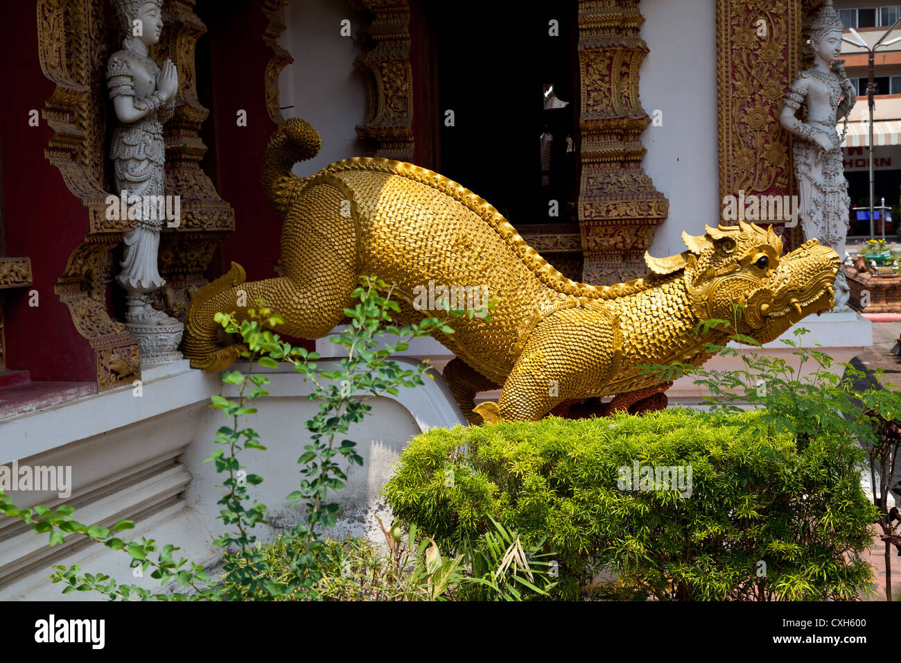 Gilded Dragon in the Temple Wat Buppharam in Chiang Mai Stock Photo - Alamy