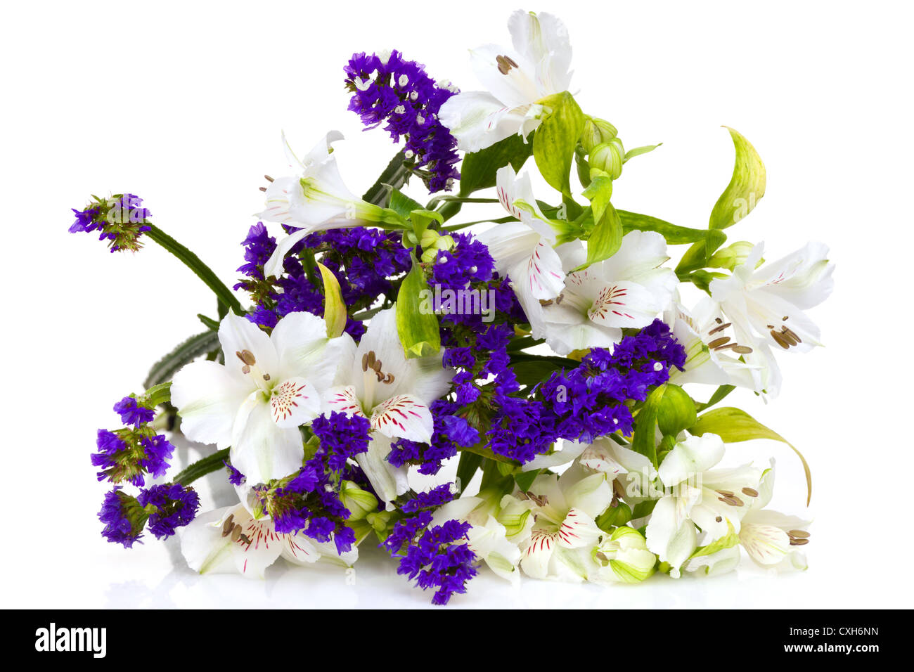 flowers white lily Stock Photo - Alamy