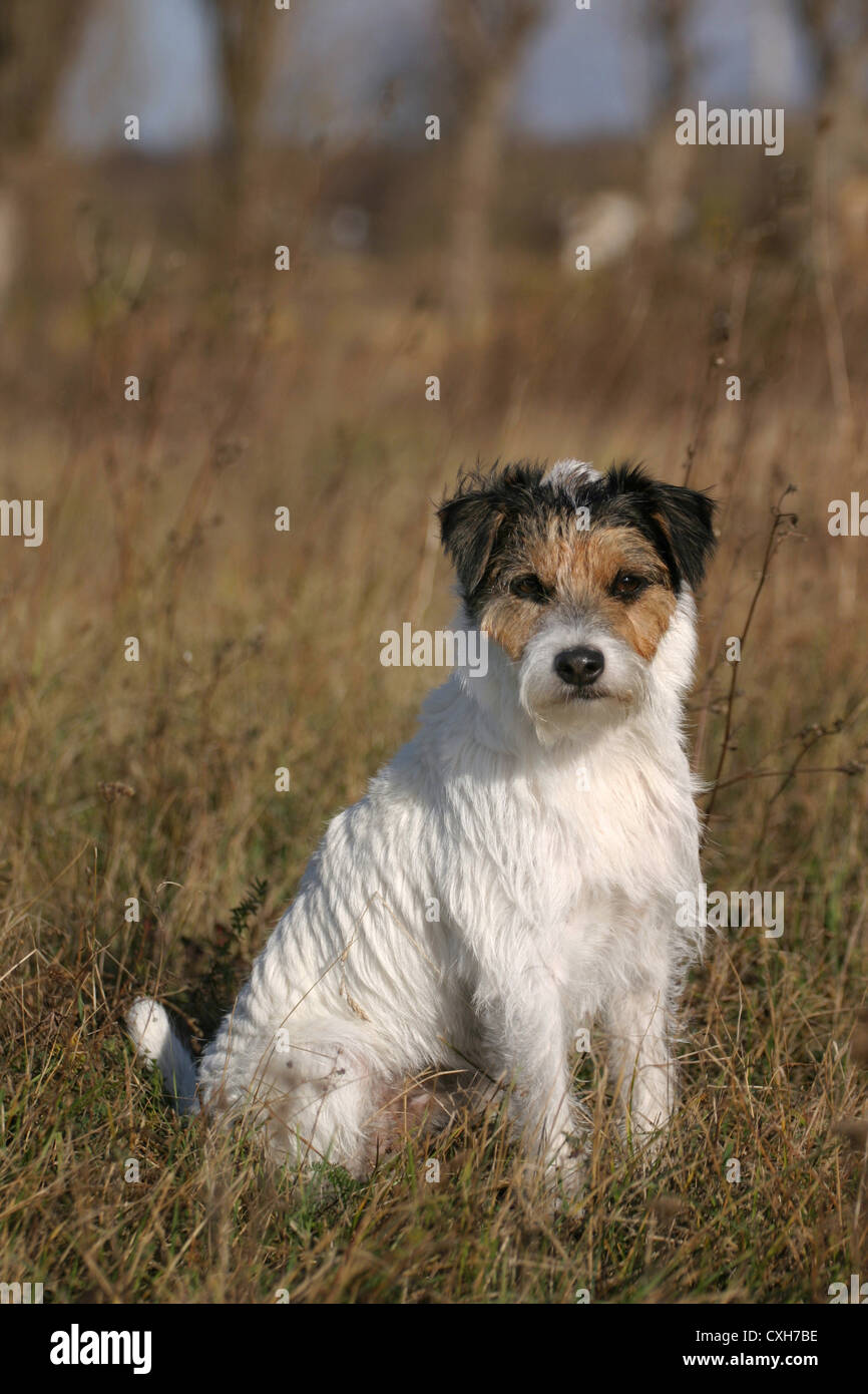 Hunter parsons hi-res stock photography and images - Alamy