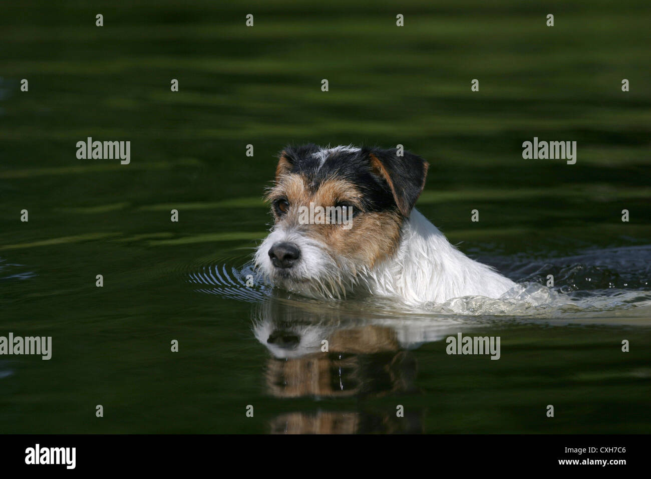 Hunter parsons hi-res stock photography and images - Alamy