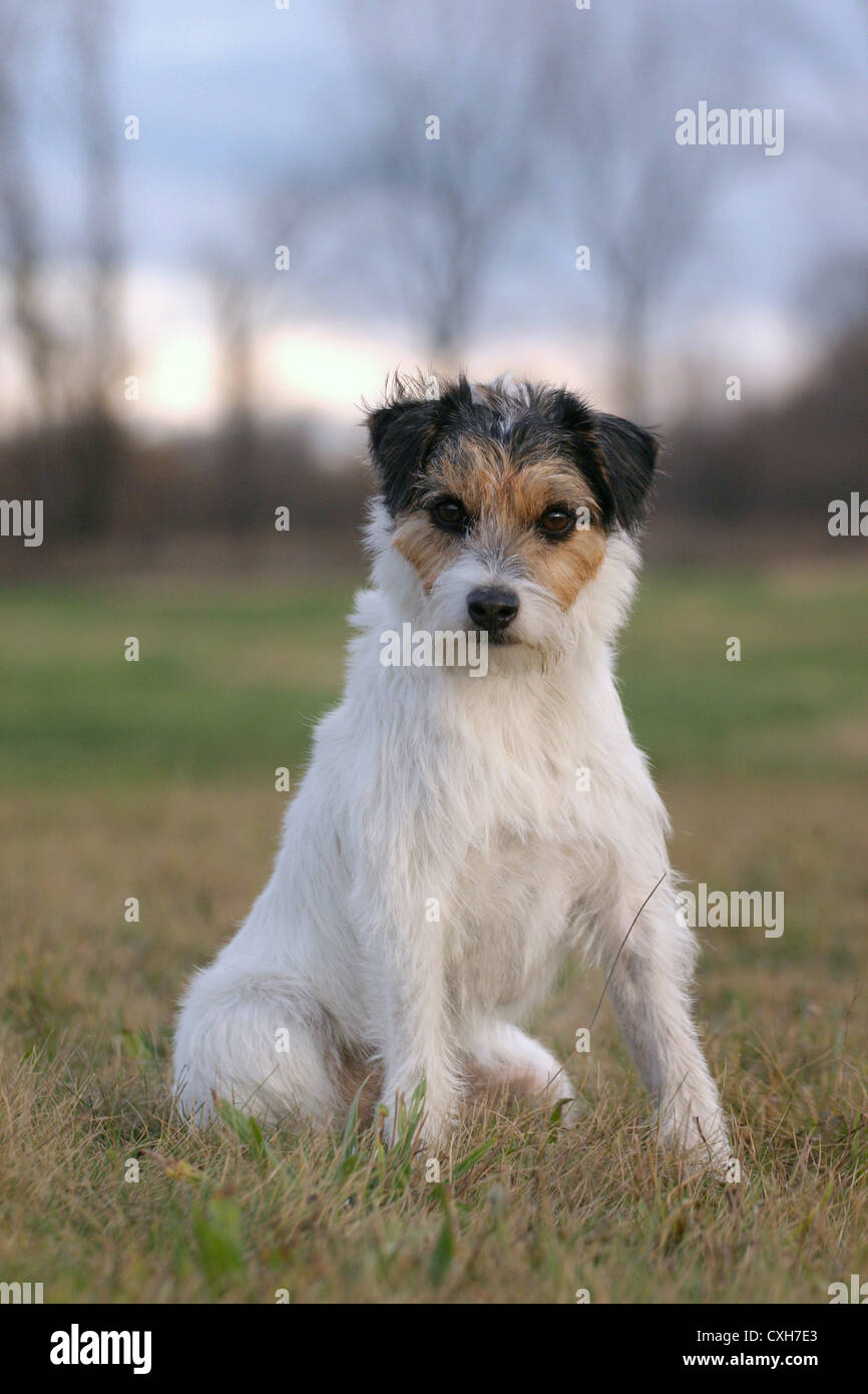 Hunter parsons hi-res stock photography and images - Alamy