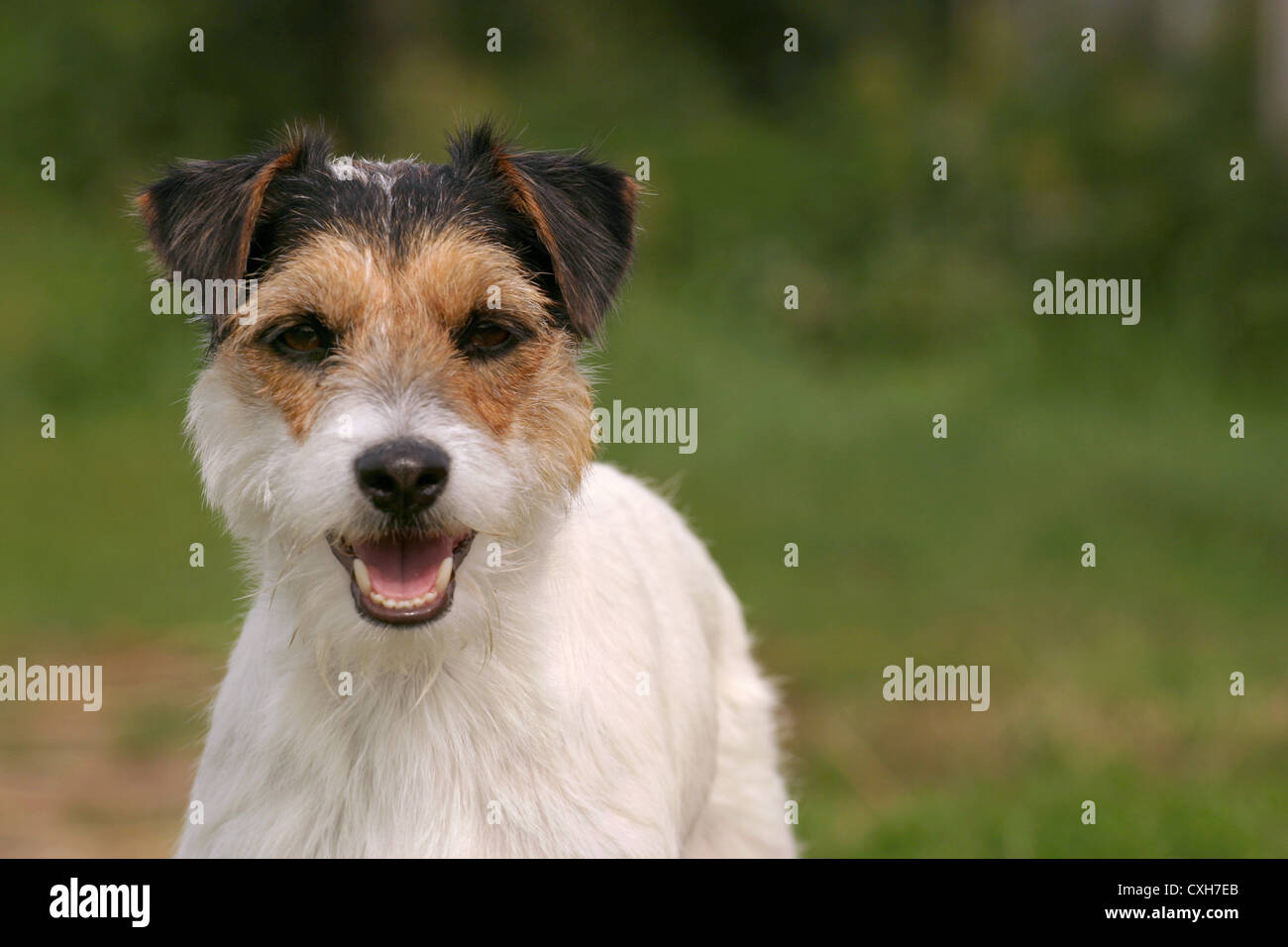 Hunter parsons hi-res stock photography and images - Alamy