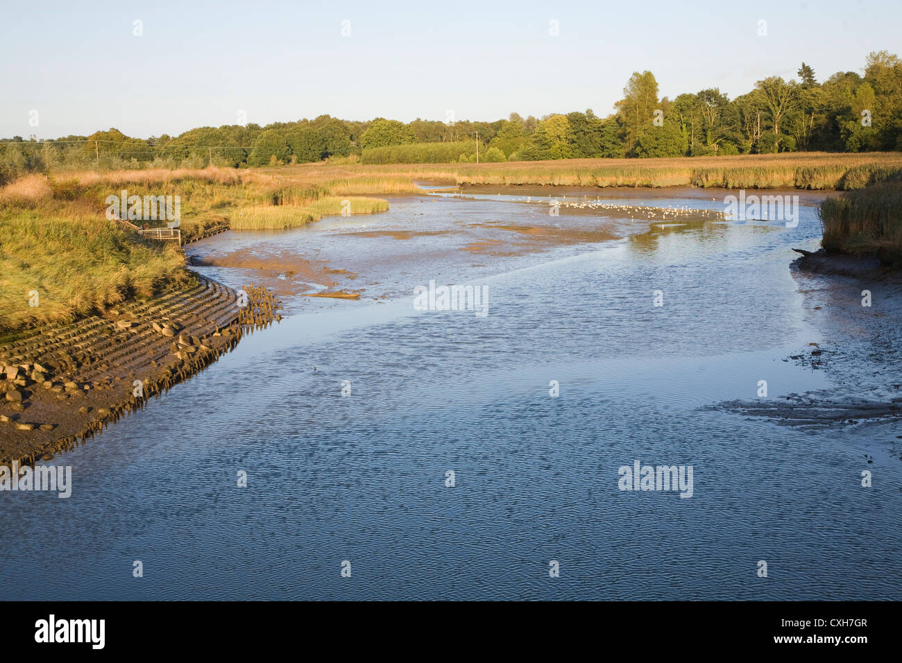 Upstream low tide tidal River Deben, Wilford bridge, Suffolk, England ...