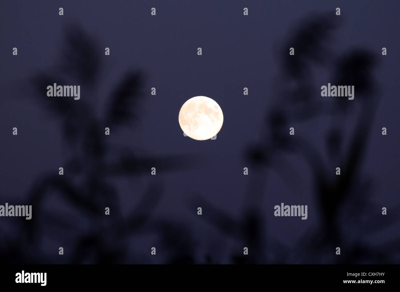 Markings of the moon hi-res stock photography and images - Alamy