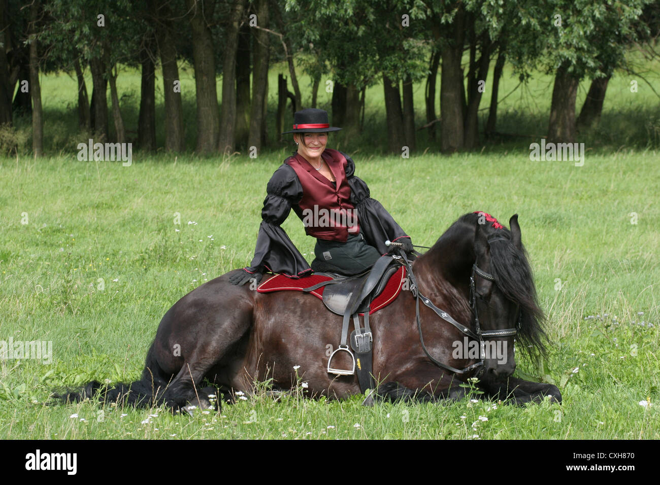 woman with friesian horse at show Stock Photo - Alamy