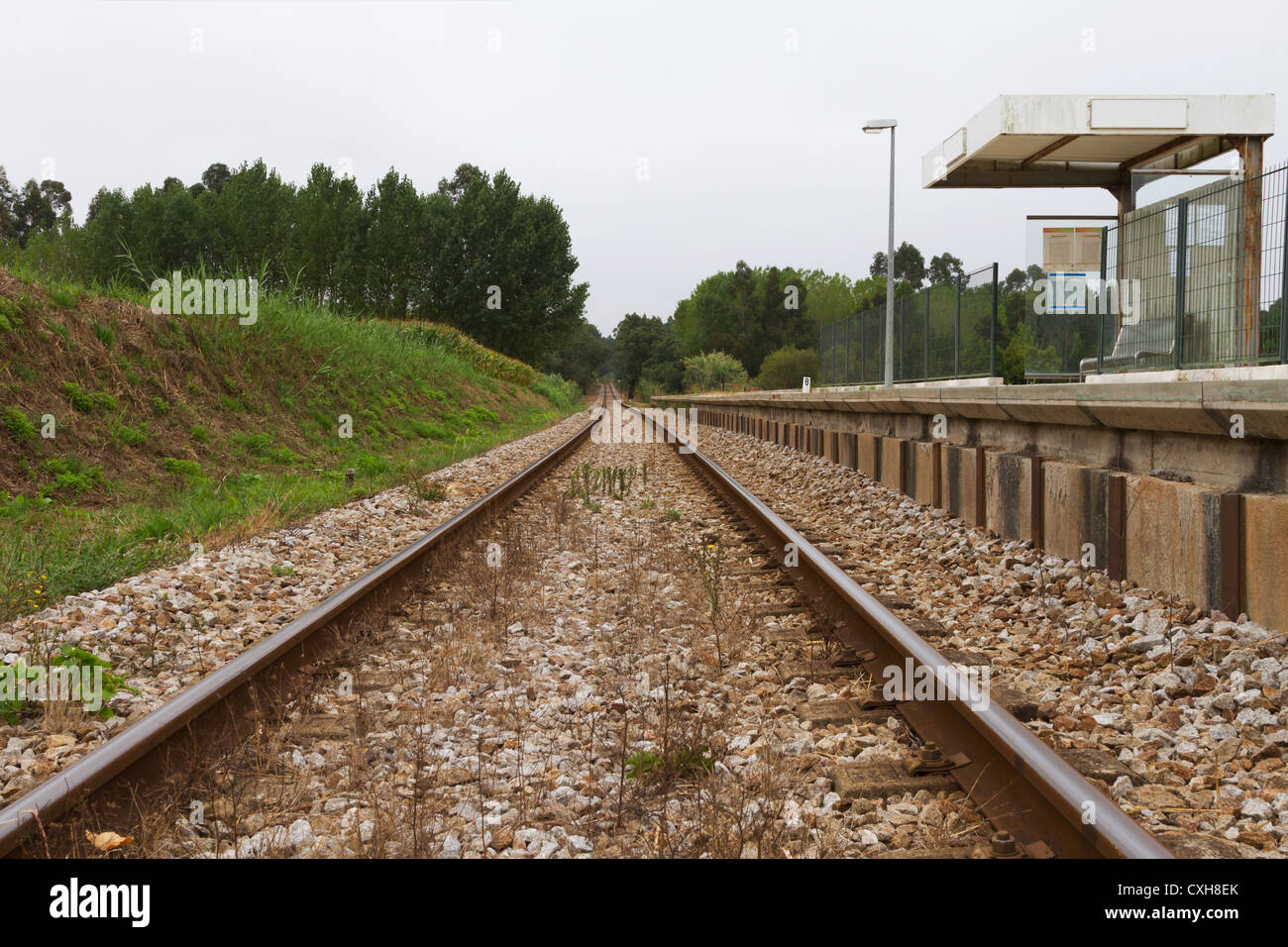 An empty railway track through woods, in Portugal Stock Photo - Alamy