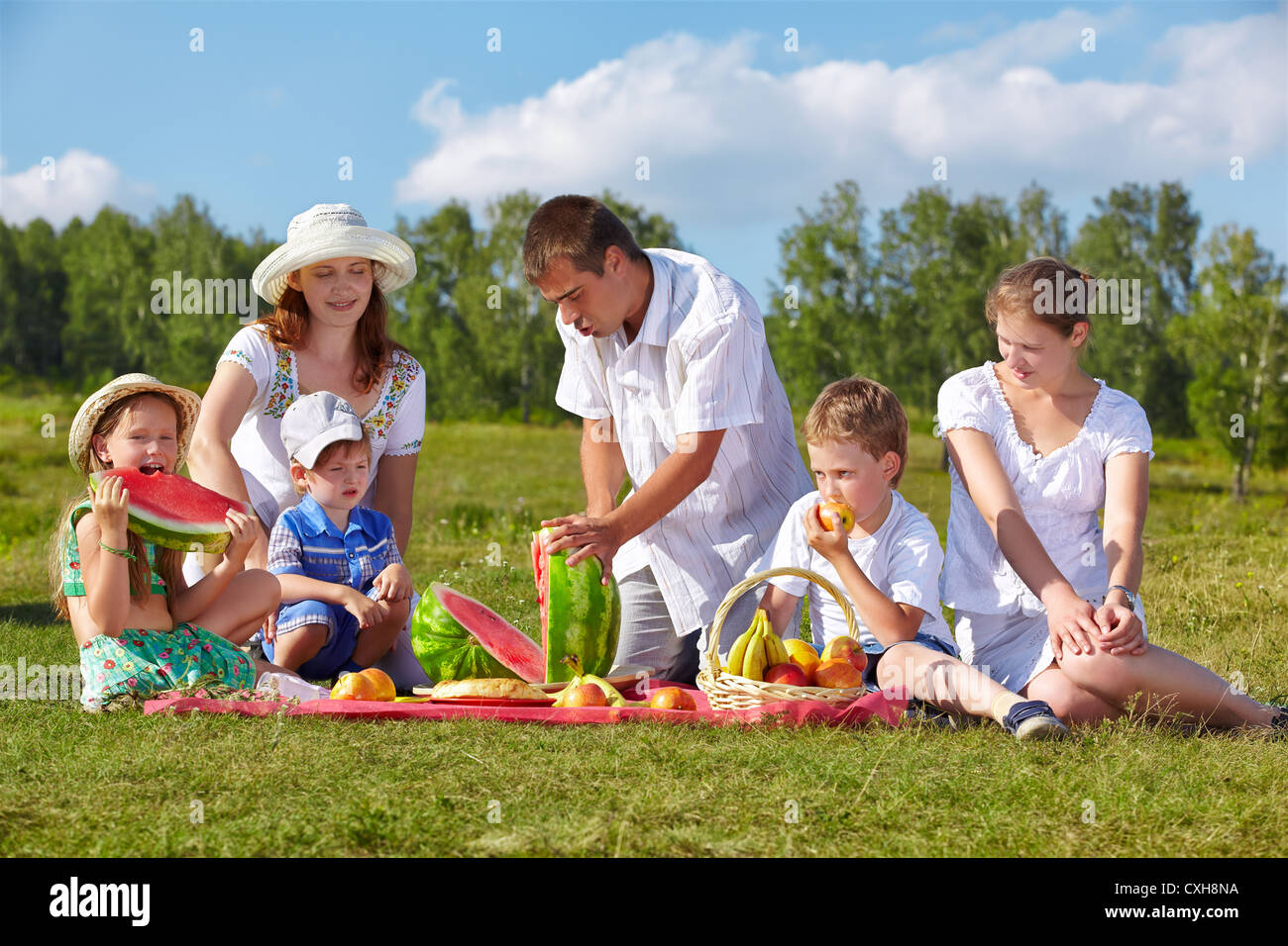 family picnic in park Stock Photo - Alamy