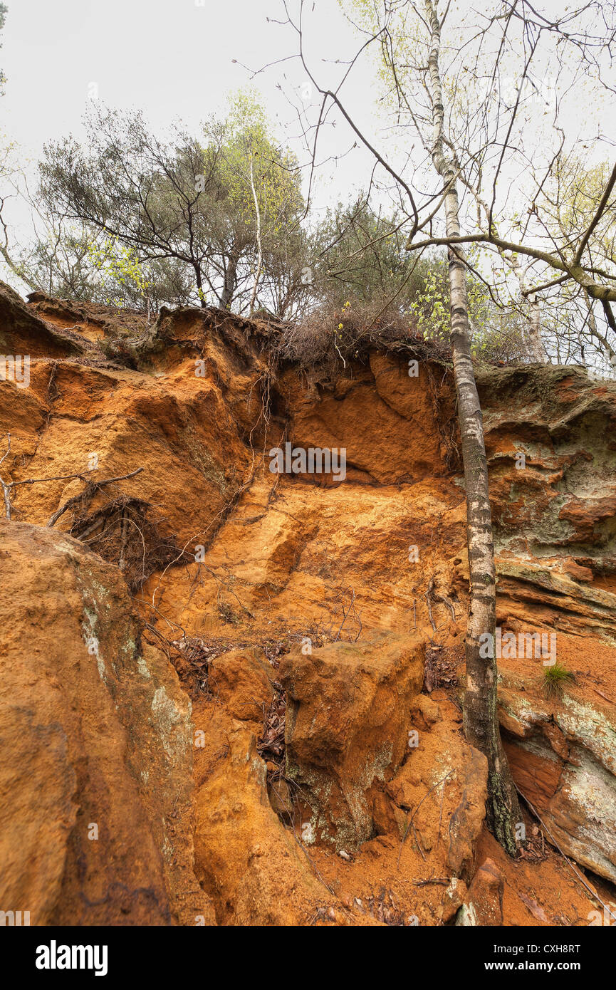 Greensand Ridge sandstone deposits tree hangs on this secluded cliff ...