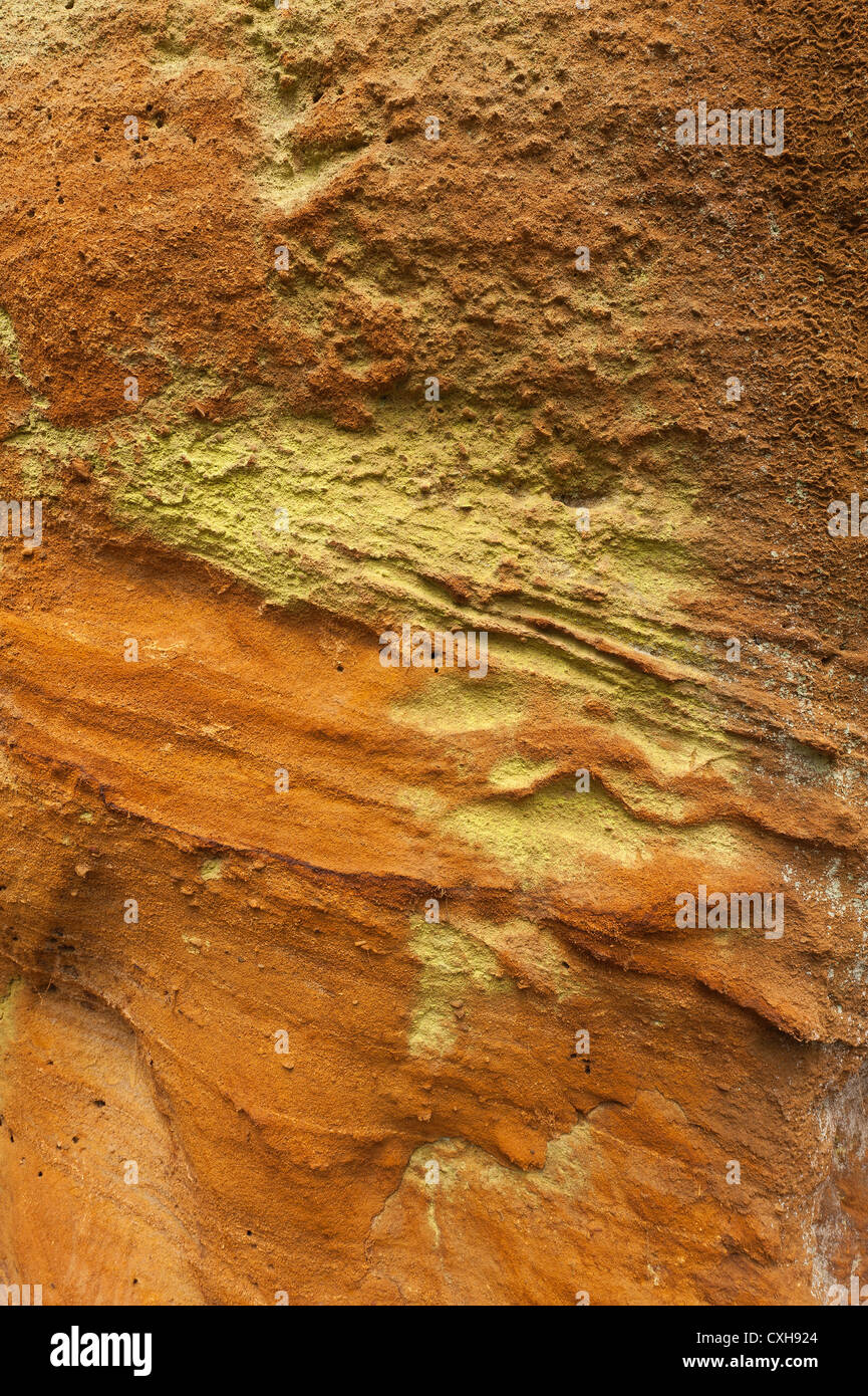 Calcareous sandy soil hi-res stock photography and images - Alamy