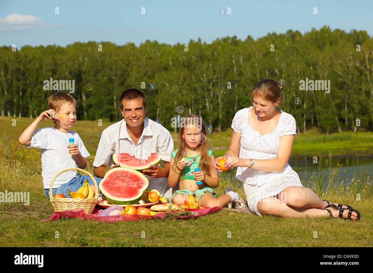 family picnic in park Stock Photo - Alamy