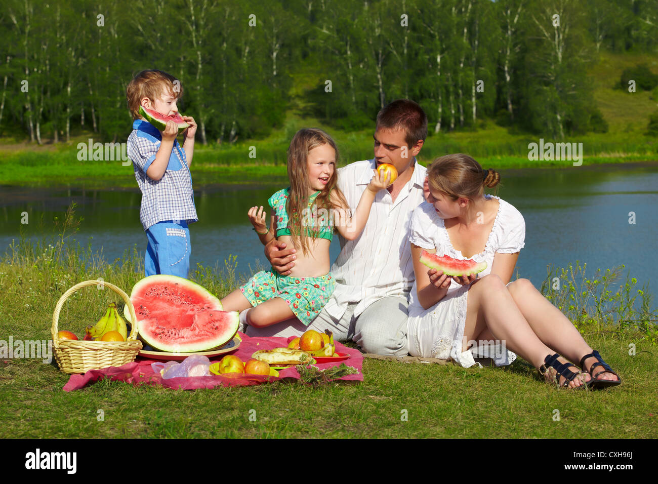 family picnic in park Stock Photo - Alamy