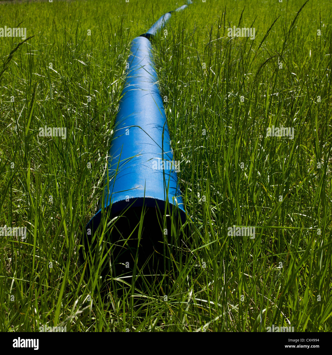Irrigation system pipes in a field Stock Photo - Alamy